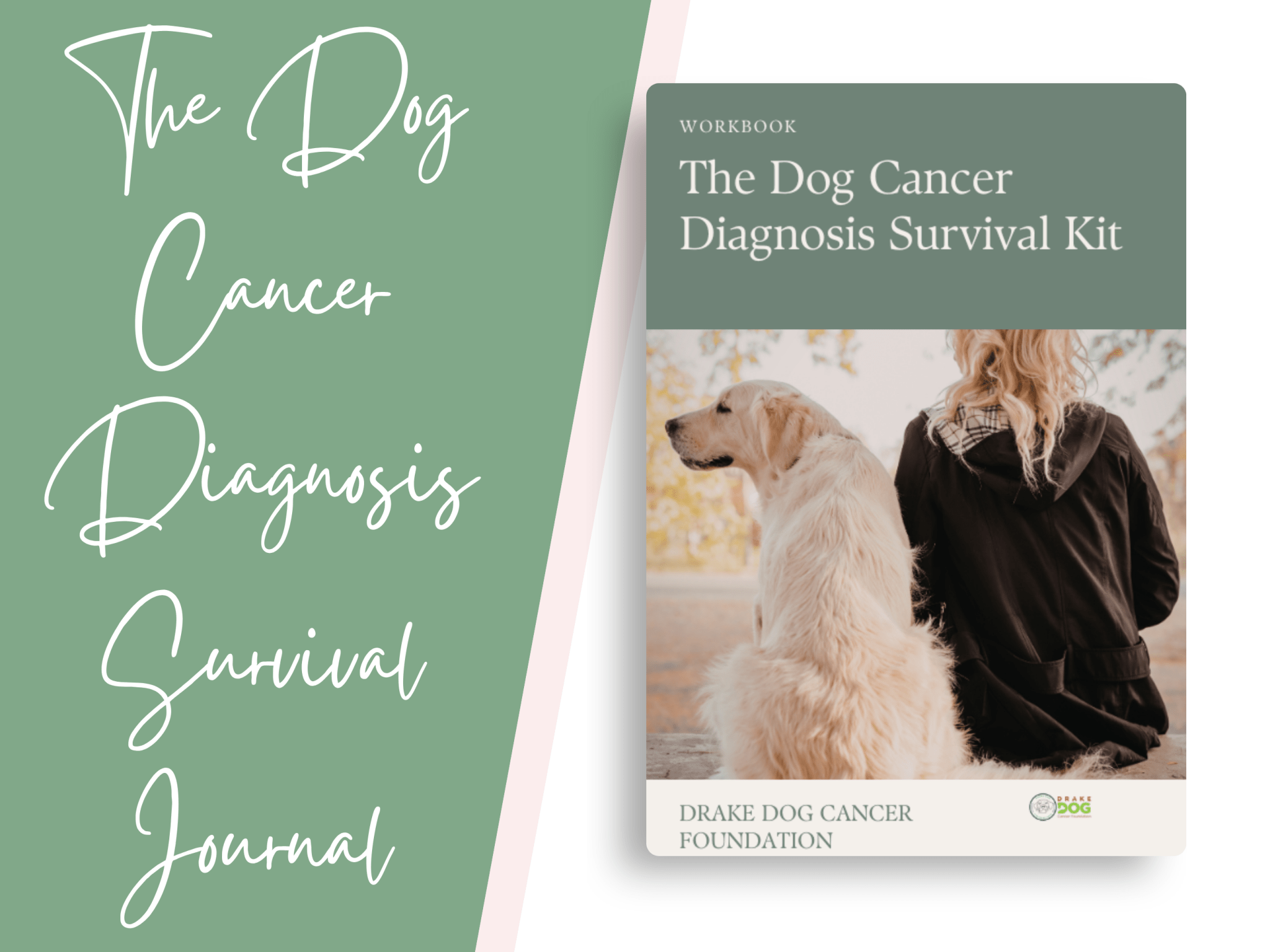 Dog Cancer Diagnosis Survival Kit: 6 Guides & Templates for the First ...